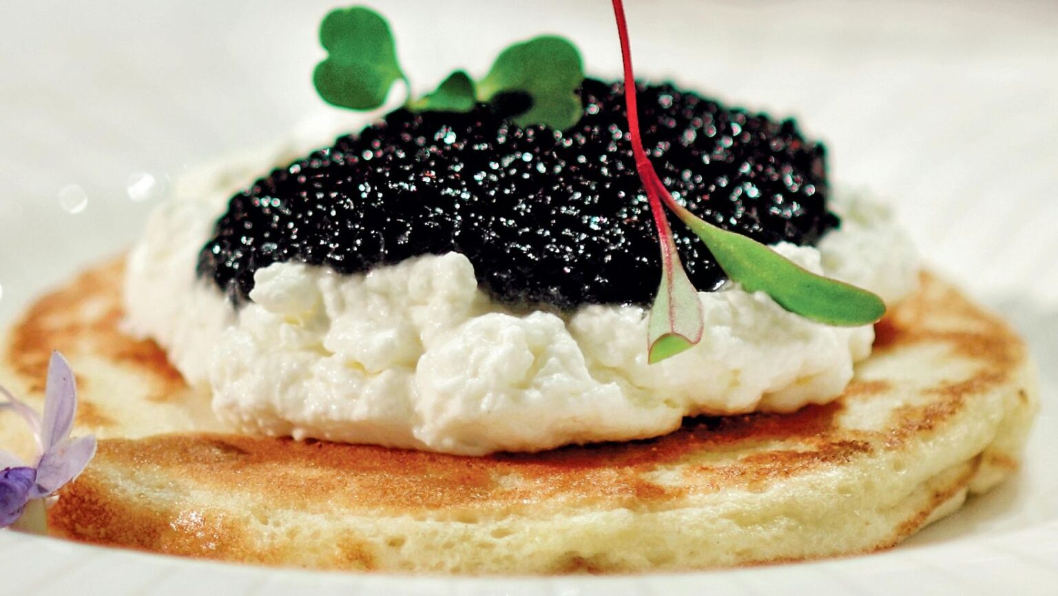 Caviar 101: Everything You Need to Know About the World’s Most ...