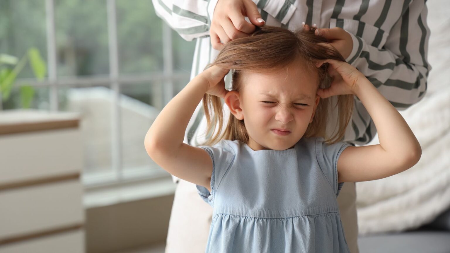 Your Child Has Lice — Here's Why You Should Skip the Drugstore and Go ...